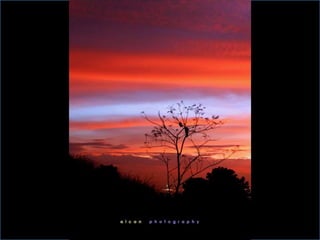 Alcan images | PPTX | Business | Business and Finance