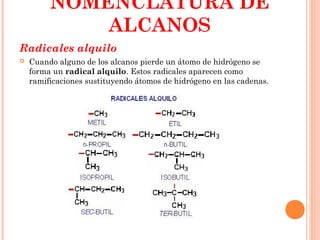 Alcanos3 | PPT