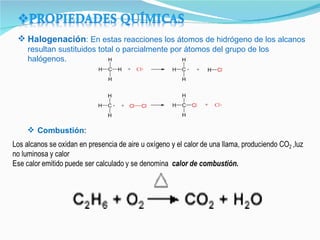 Presentación Alcanos Química Orgánica | PPT