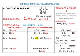 ALCANO sec.docx