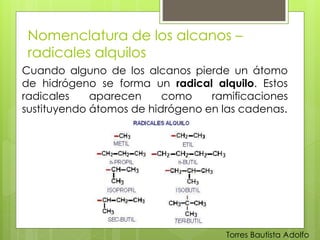 Alcanos y alquinos | PPTX