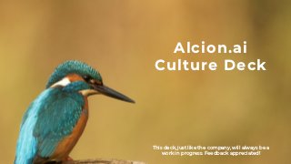 Alcion Culture Deck | PPT