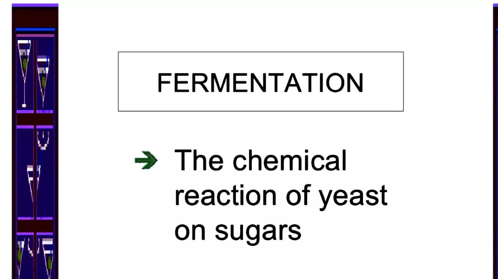 Alcohlic Fermentation.pdf