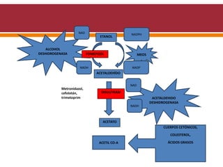 Intoxicación por alcohol etílico, metílico y etilenglicol | PPTX