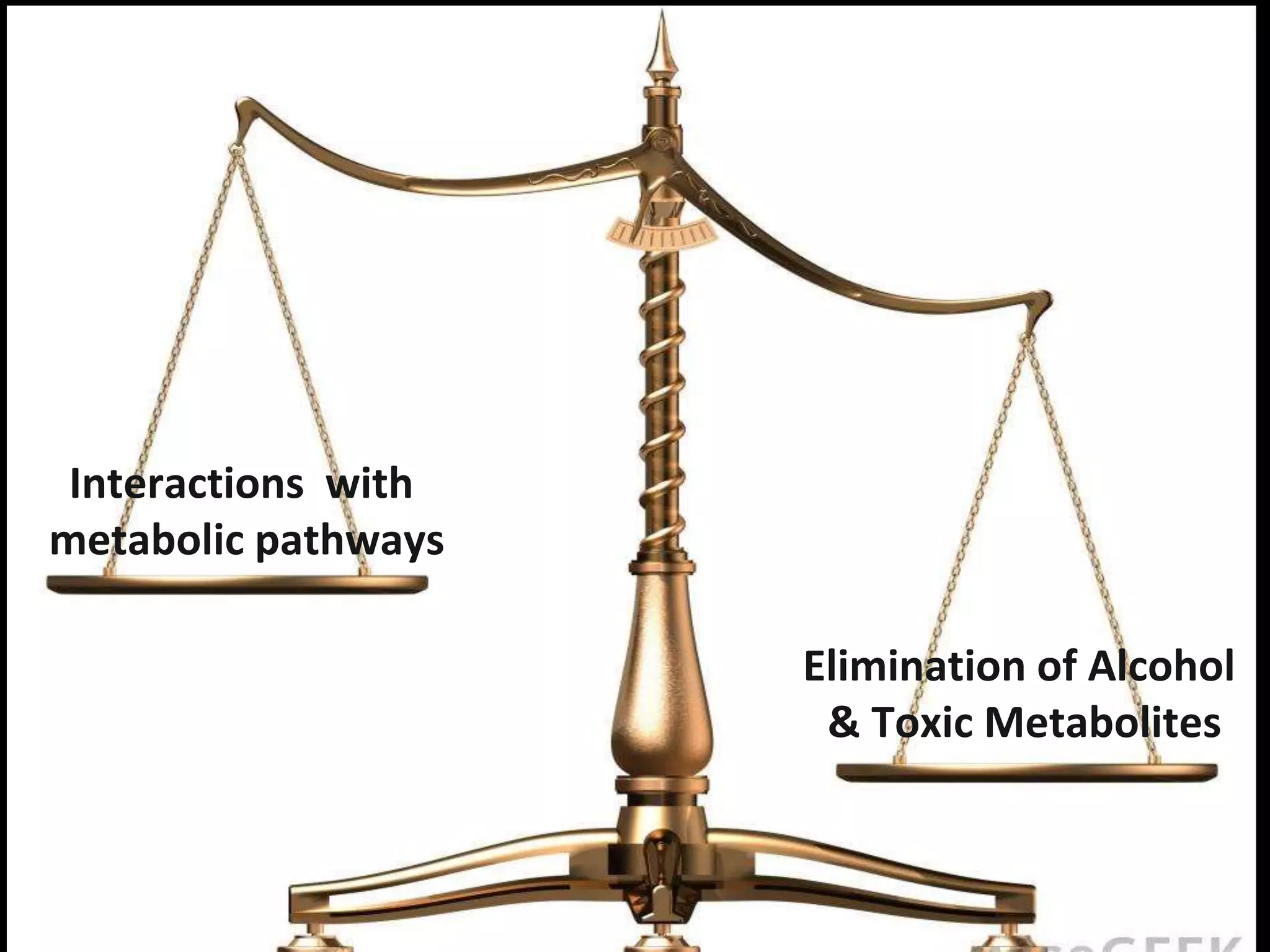 Alcohol, Metabolism & its Toxicity | PPTX