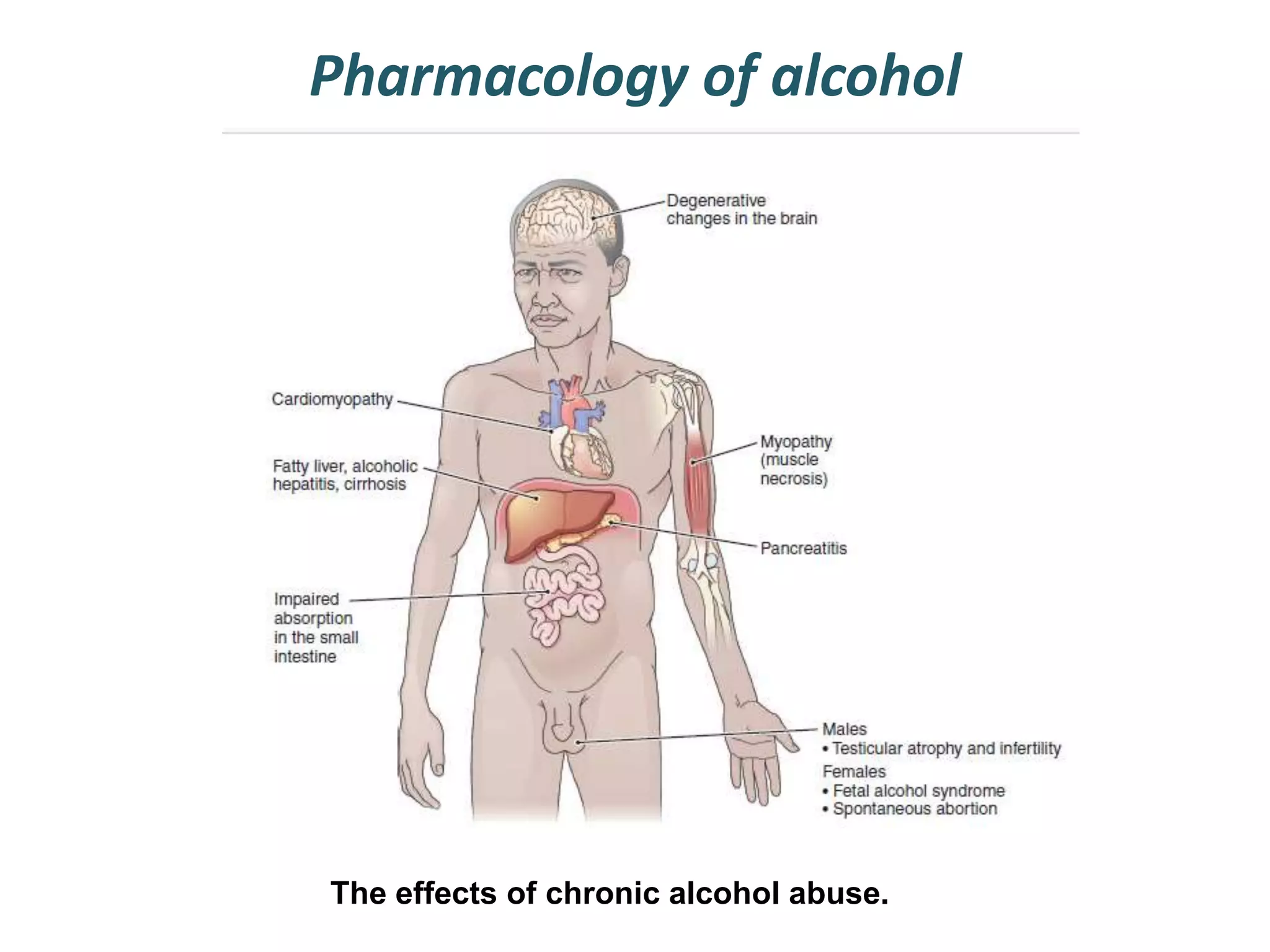 ALCOHOL.pptx