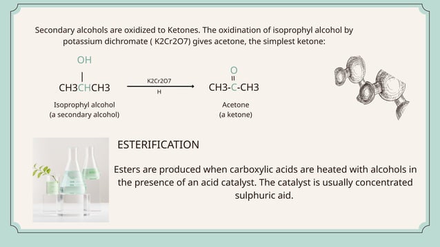 Nomenclature of Alcohols and its reactions | PPTX