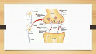 Alcohol abuse presentation | PPTX