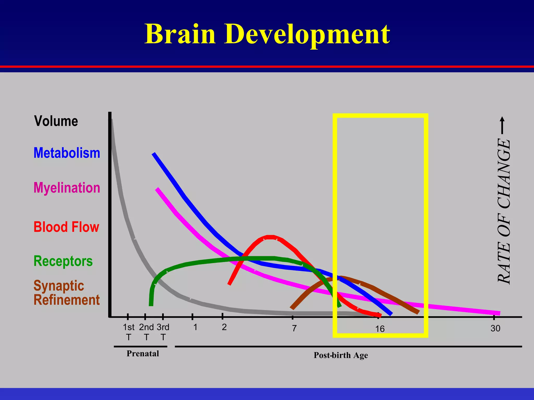 Alcohol & Adolescent Brain Development | PPT