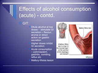 Pharmacology of Alcohol | PPT