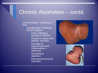 Pharmacology of Alcohol | PPT
