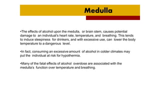 Alcohol and its effects on the body | PPTX
