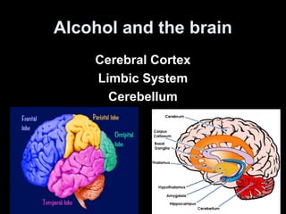 Alcohol and Mental Health | PPT