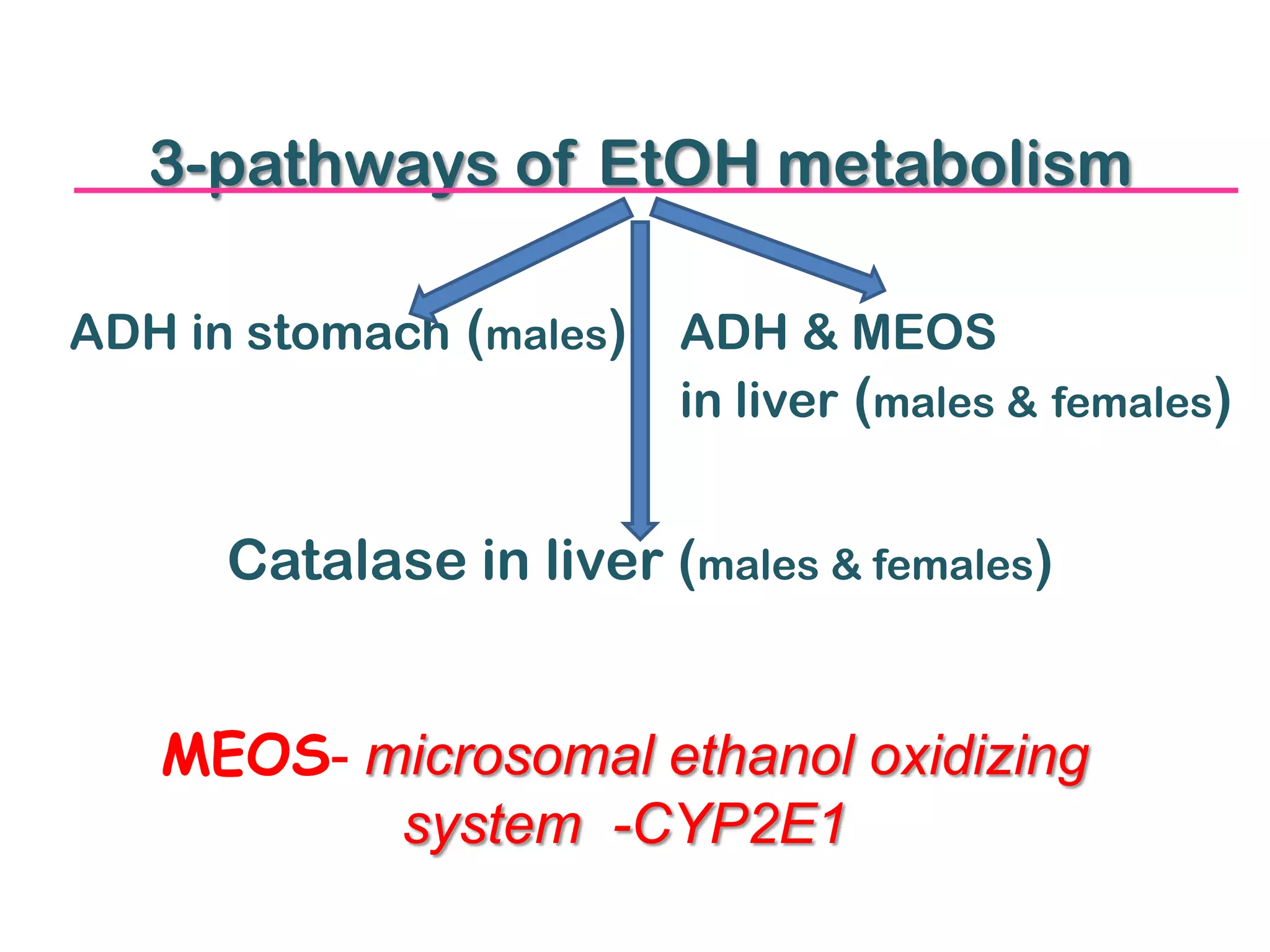 Alcohol basics | PPT