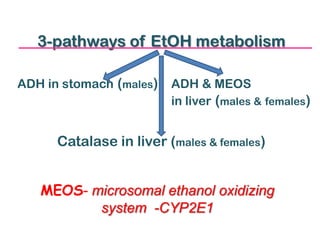 Alcohol basics | PPTX