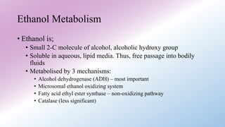 Alcohol Metabolism | PPTX