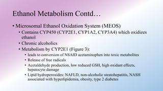 Alcohol Metabolism | PPTX