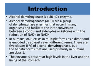 Alcohol dehydrogenase | PPTX