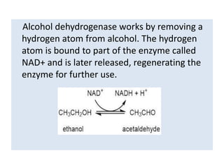Alcohol dehydrogenase | PPTX