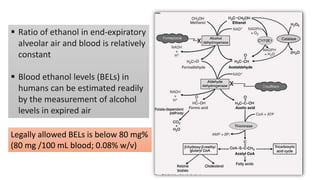 Alcohol : ethanol and methanol | PPTX