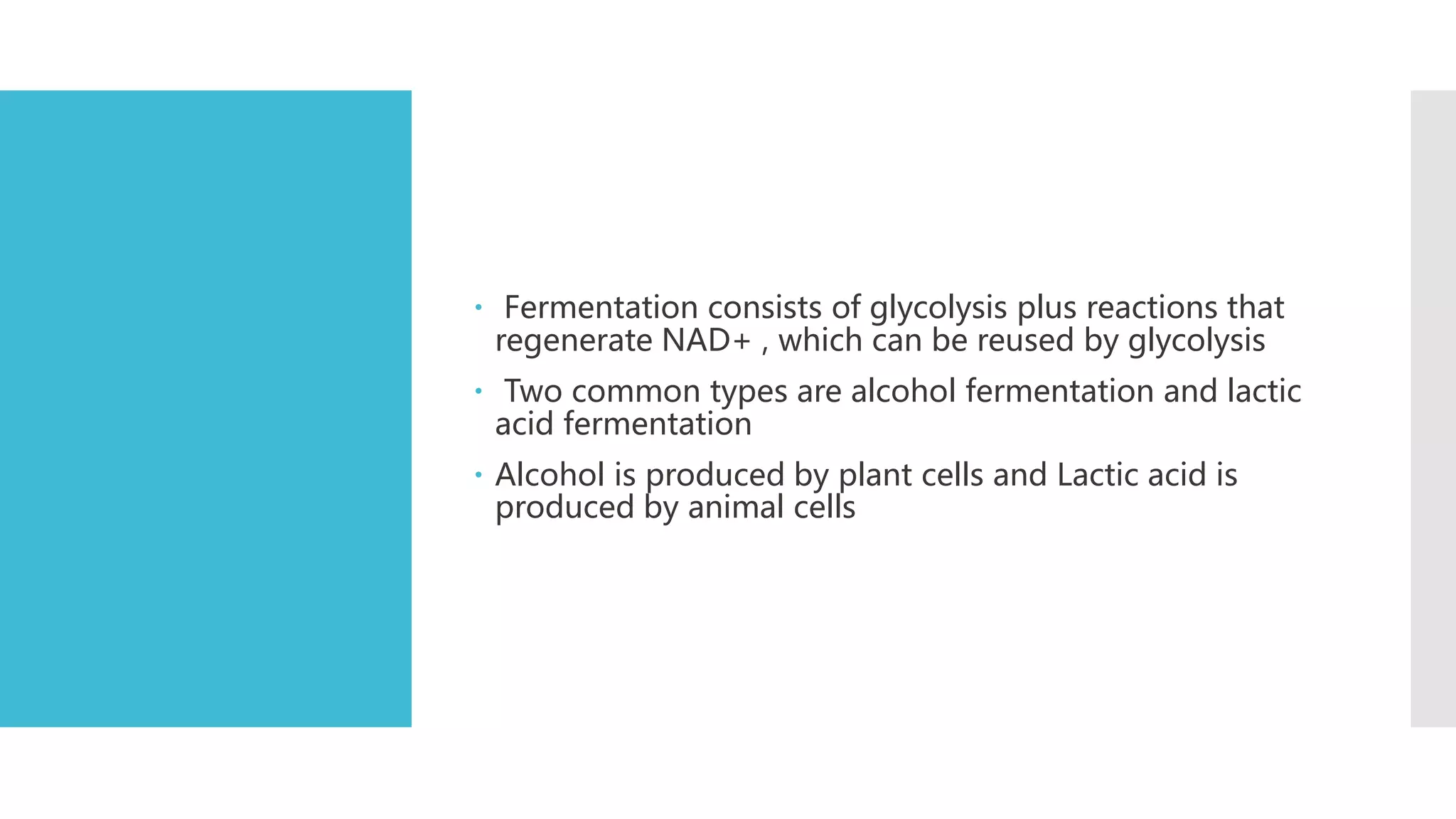 Alcoholic And Lactic Acid Fermentationlesson 2pptx
