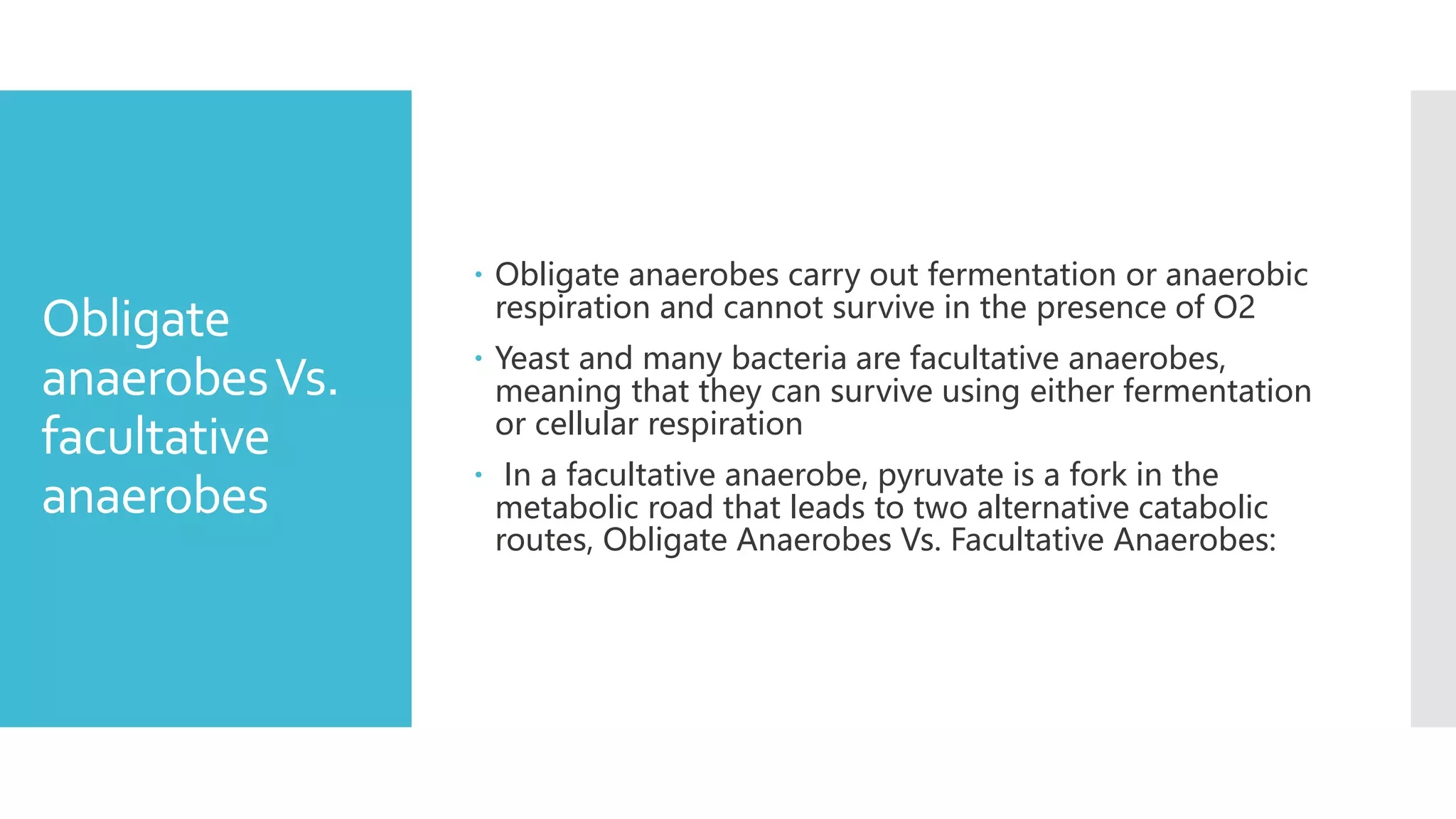 Alcoholic and lactic acid fermentation_lesson 2.pptx