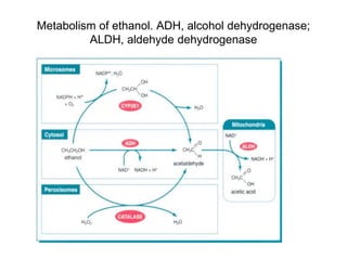 Alcoholic liver disease new 20-6-2016 | PPTX