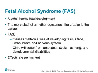 Alcohol and Nutrition Power Point | PPTX