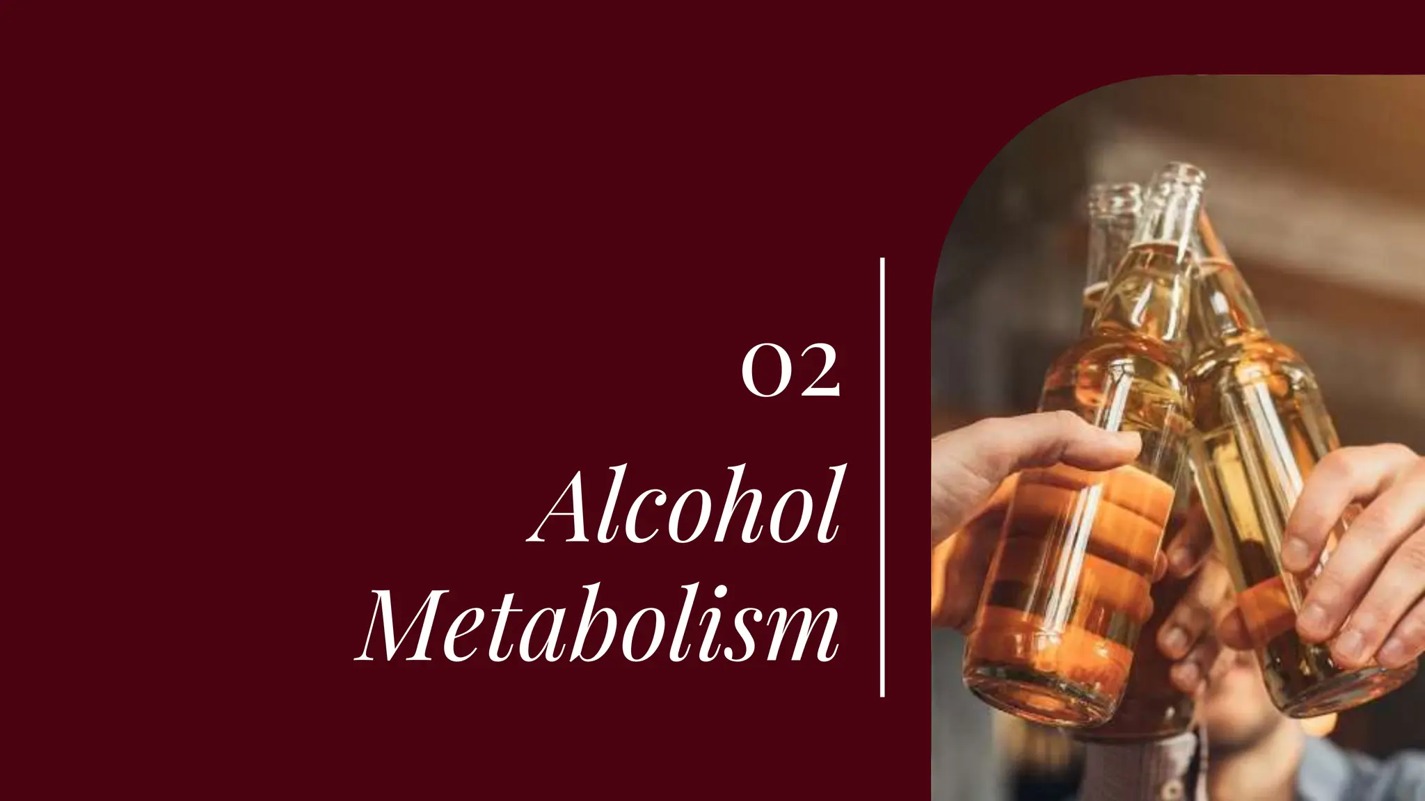 Alcohol Intoxication what is it, what are the risk factors | PPTX