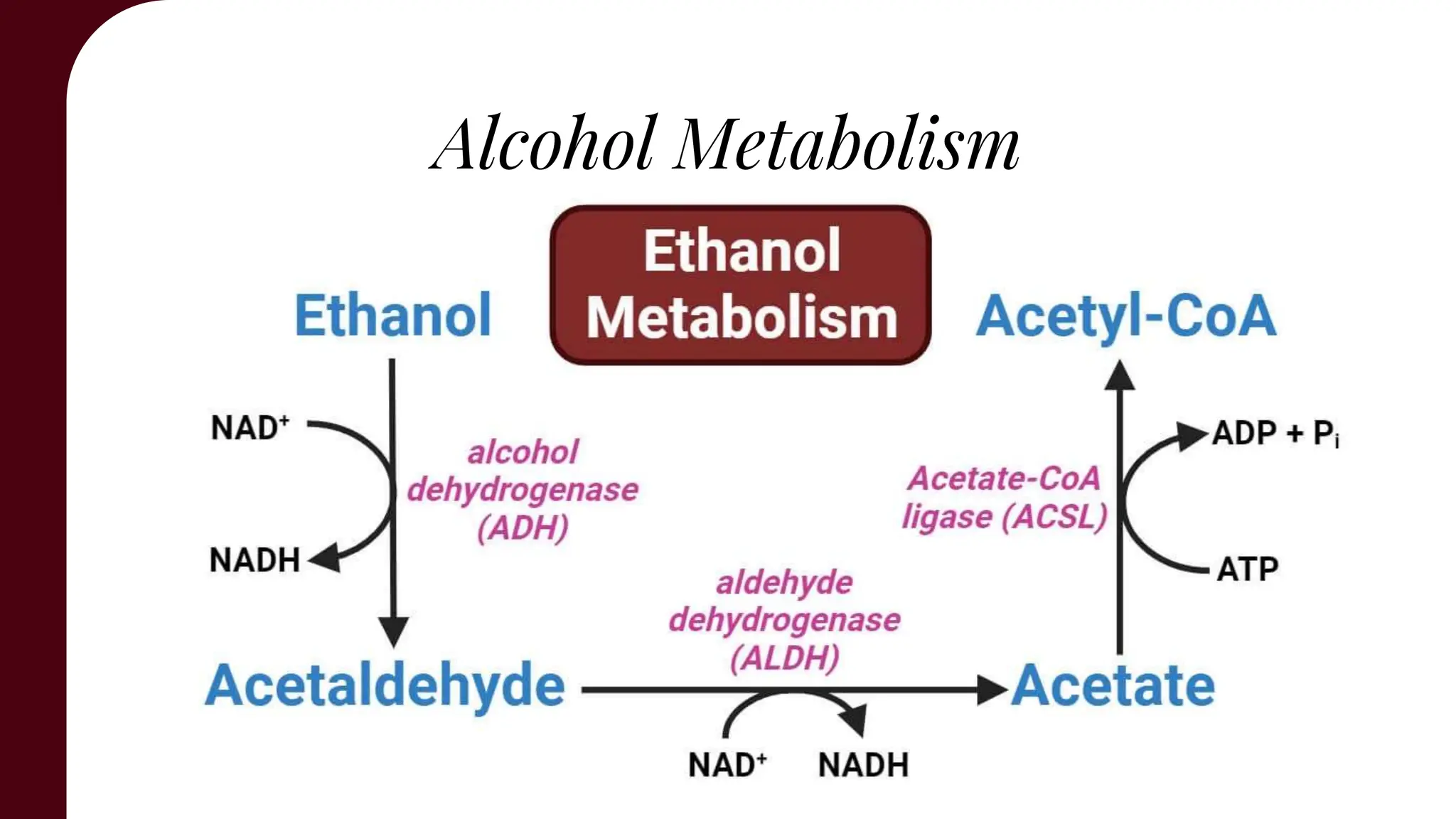 Alcohol Intoxication what is it, what are the risk factors | PPTX