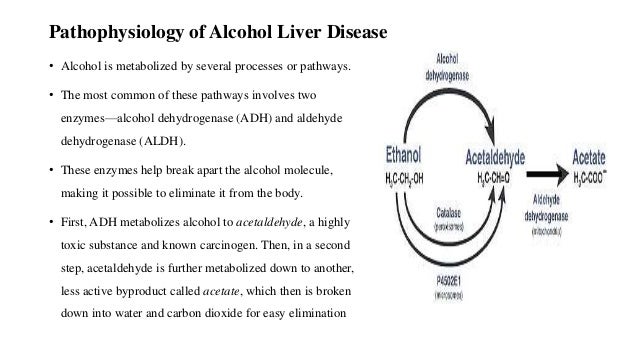 Alcohol liver disease.pptx