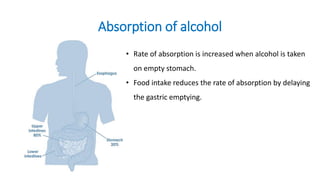 Alcohol metabolism - with YouTube video | PPTX