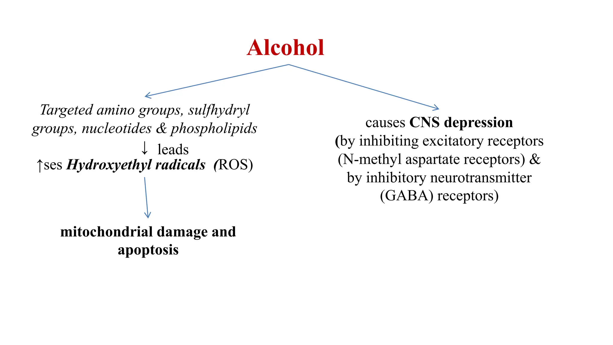 Alcohol metabolism and alcoholism & Fatty liver.pptx