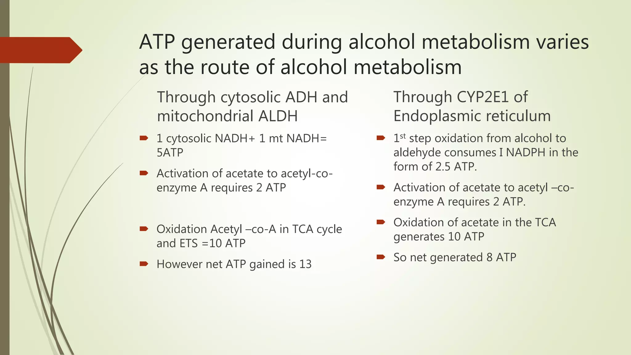 Alcohol metabolism (2) | PPTX