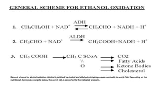 Alcohol metabolism and its systemic effects.pptx