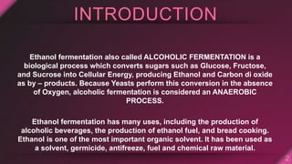 Alcohol presentation | PPTX