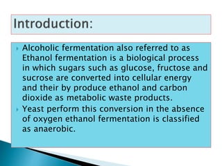 Alcohol Production by Yeast.pptx