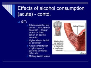 alcohols5.ppt