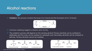 Alcohols and Phenols.pptx