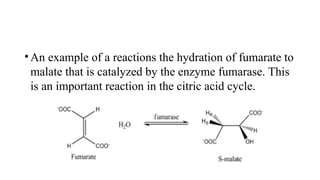 Alcohol and Phenol Organic Chemistry.ppt