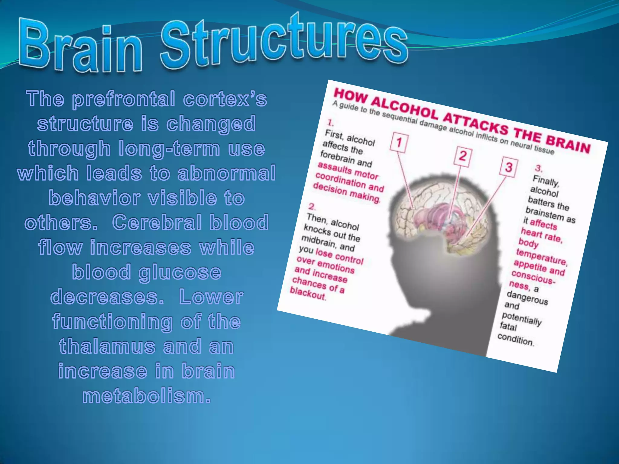 Alcohol’S Effects On The Brain | PPTX