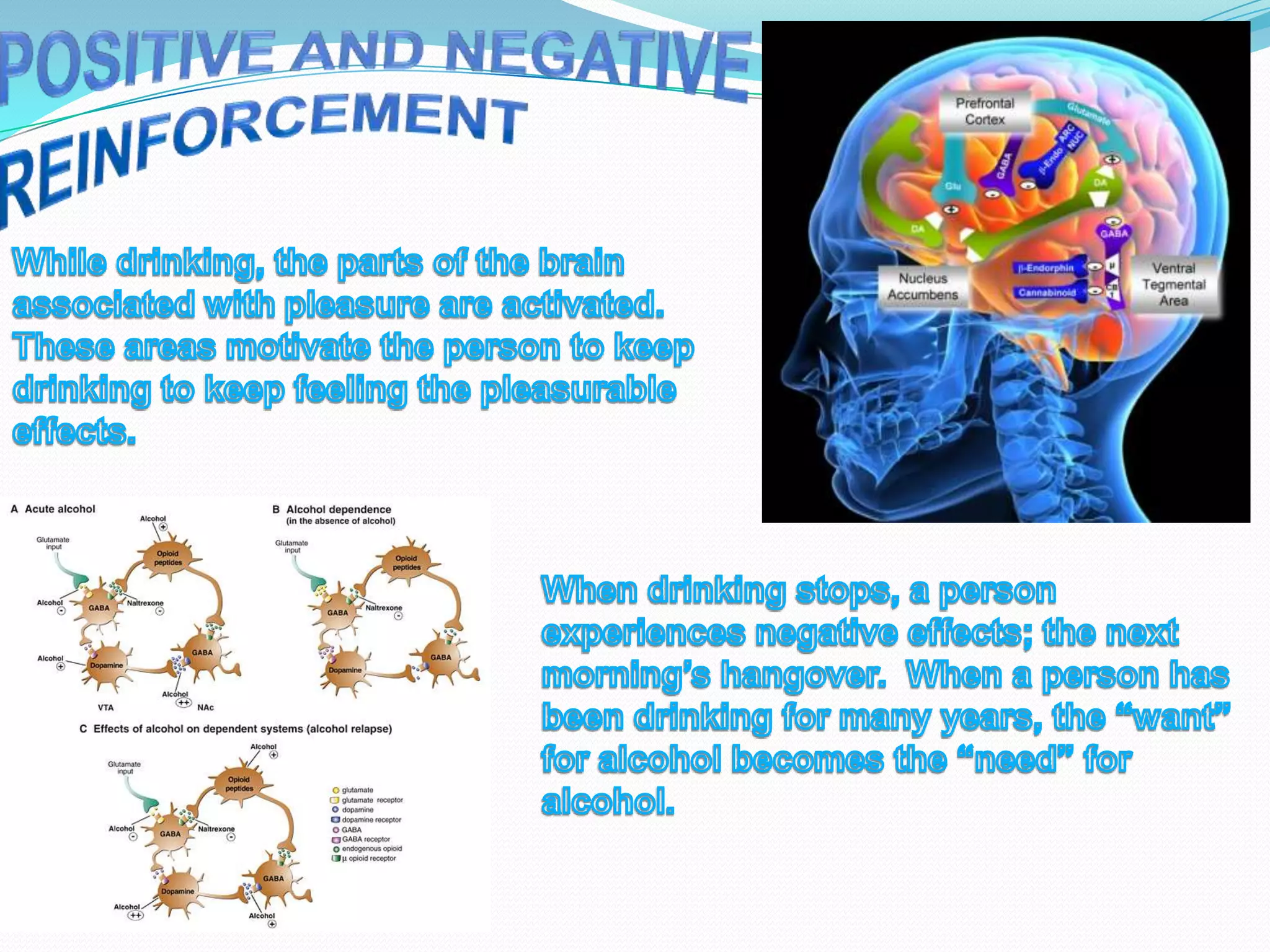 Alcohol’S Effects On The Brain | PPTX