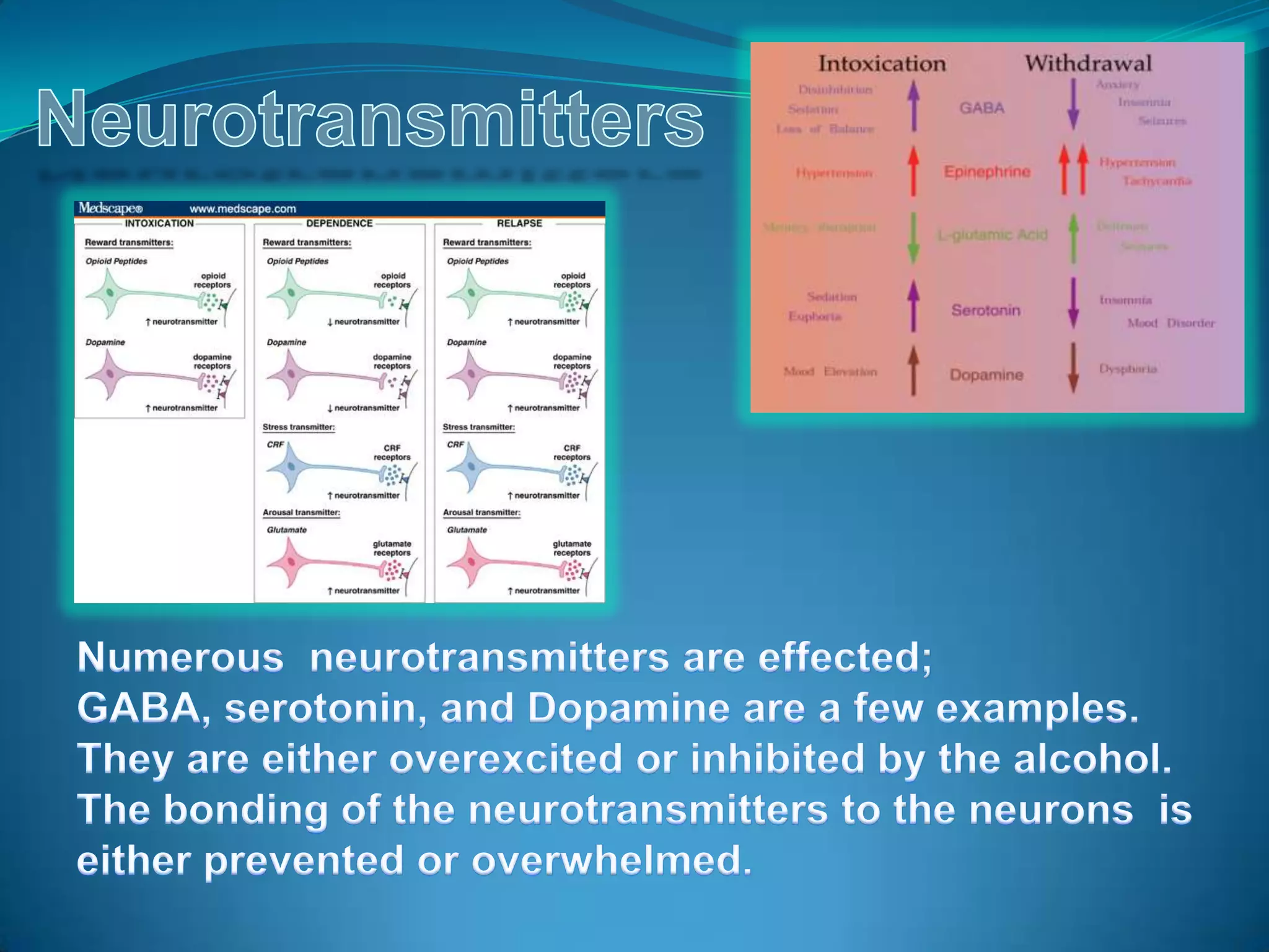 Alcohol’S Effects On The Brain | PPTX