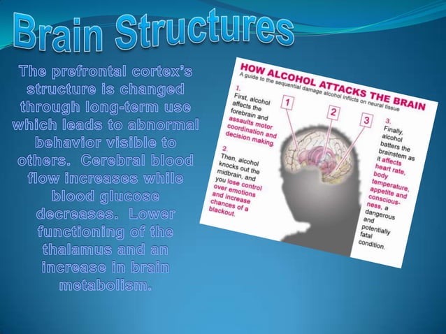 Alcohol’S Effects On The Brain | PPTX | Brain and Nervous System ...