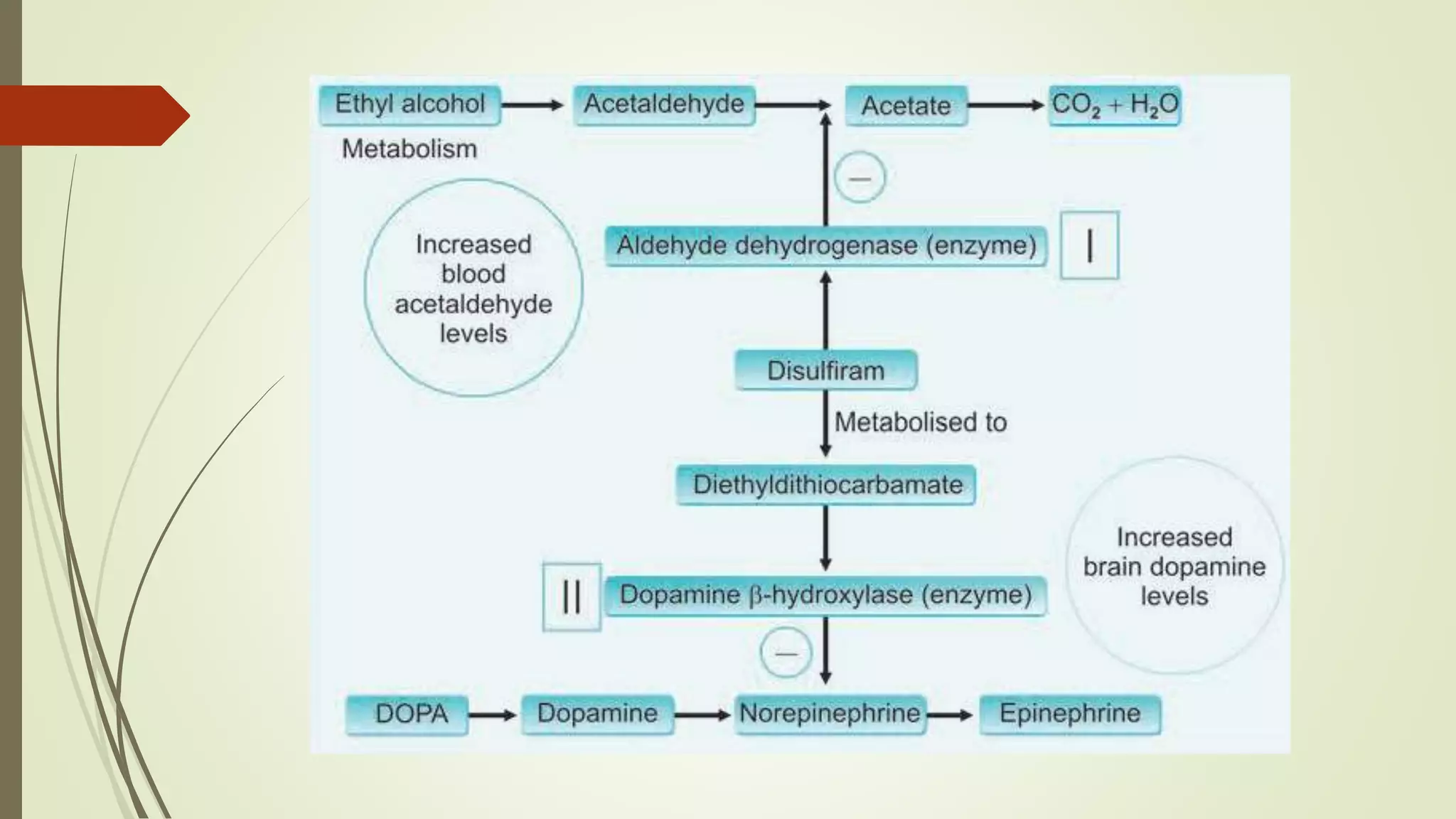Alcohol use disorders | PPTX