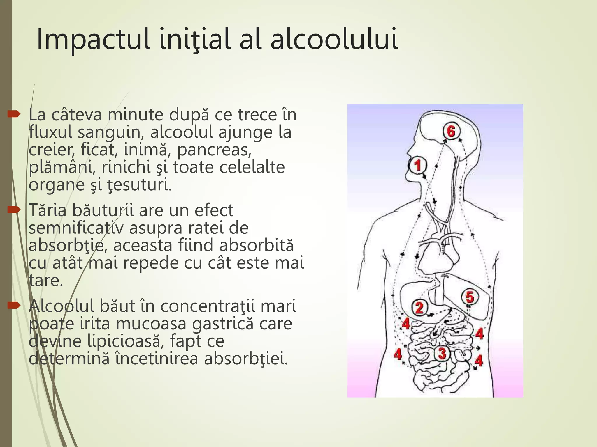alcool asupra org uman.pptx