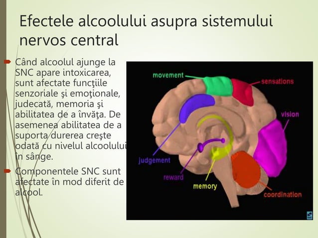 alcool asupra org uman.pptx