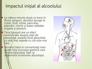alcool asupra org uman.pptx