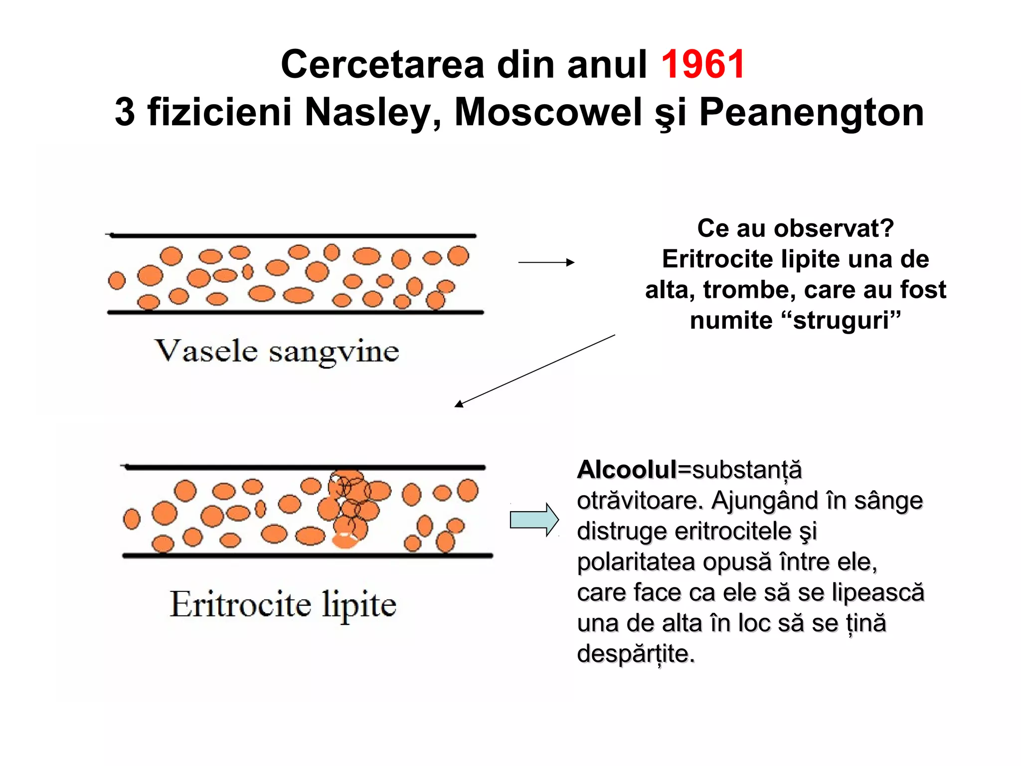 Alcoolul, proiect la chimie | PPT