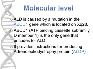 Ald (x linked adrenoleukodystrophy) | PPT